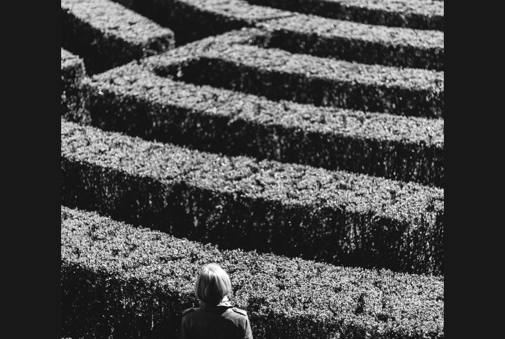 Wood for The Trees — Joanna Garbutt – Porridge